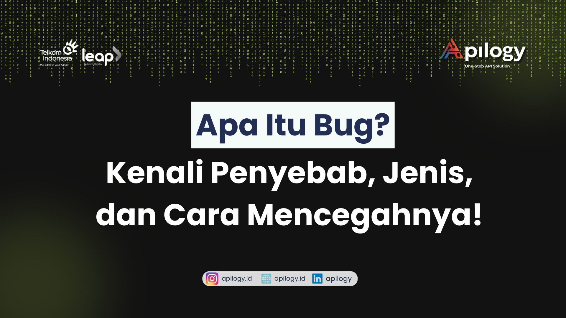 Apa itu Bug? Kenali Penyebab, Jenis, dan Cara Mencegahnya! - Apilogy Blog